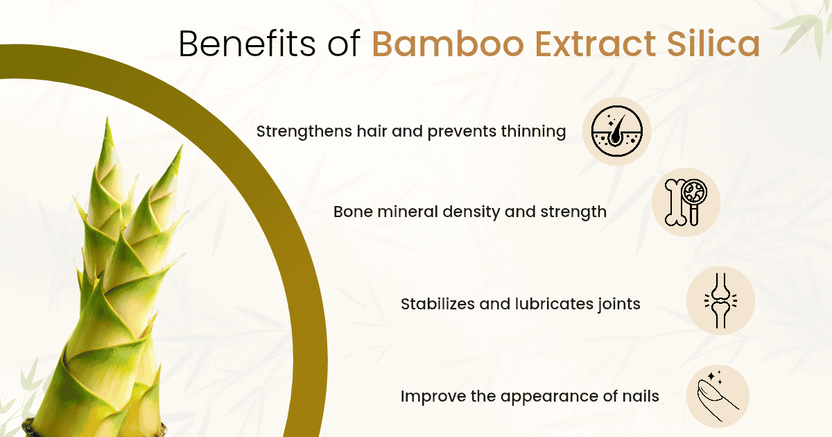 Bamboo Extract | Rich Bamboo Shoot Extract Silica 70