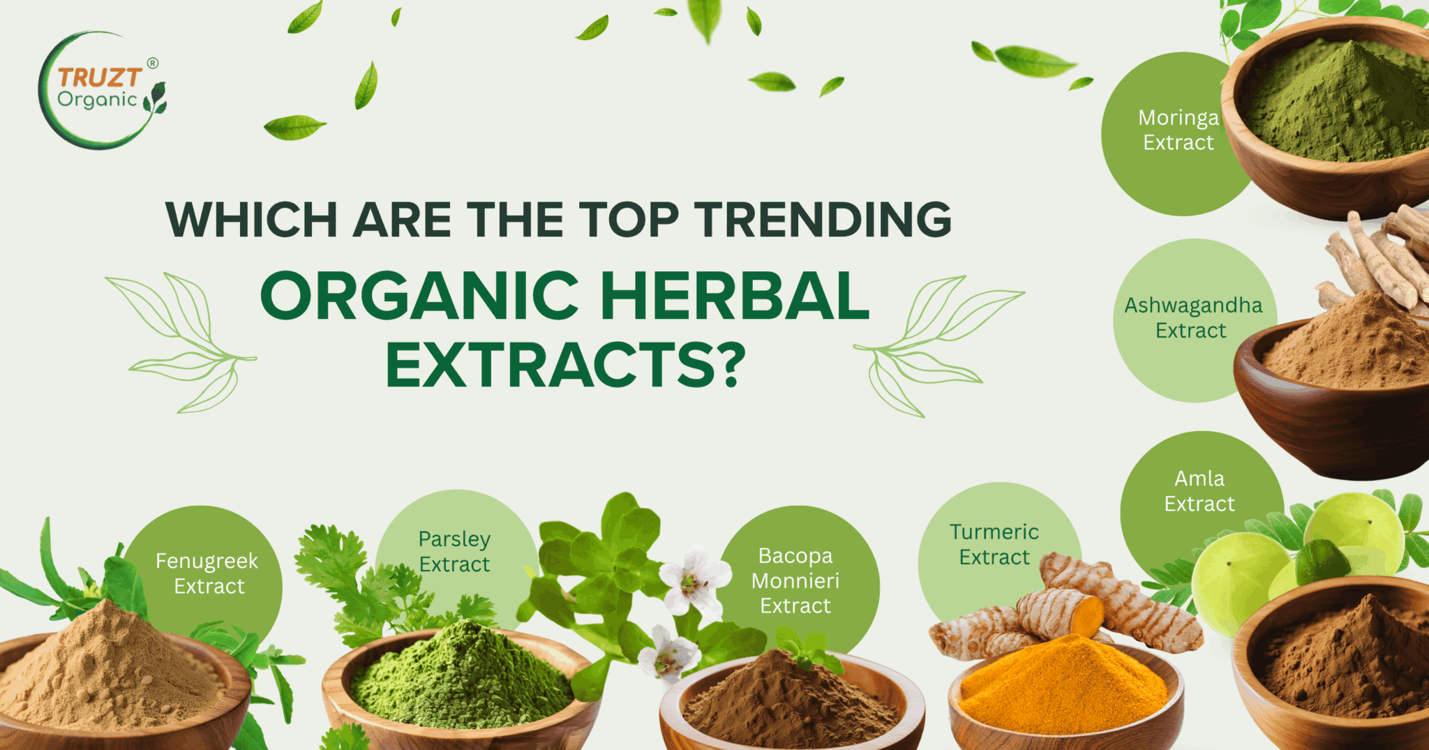 Top 7 Organic Herbal Extract In Europe Nutraceutical Market